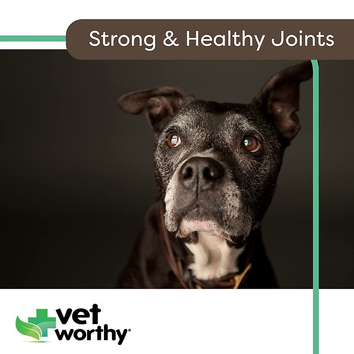 Vet Worthy Joint Support Level 4 - Chewable Tablet| Supports Bone Health and Healthy Joints - Dog Supplement with Glucosamine and Hyaluronic Acid | Vet Strength Joint Care | Liver Flavor, 60-Count