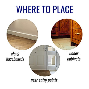 Terro T100-12 Liquid Ant Killer II, 1 oz, Pack of 2