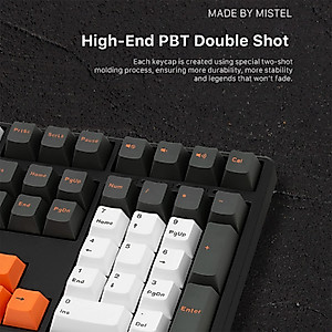 Mistel Doubleshot PBT Keycaps for Mechanical Keyboard with Cherry MX Switches and Clones, 108 Keys Plus Extra 11 Keys Set, PBT Keycaps with 6.25U Space Bar for PC Gaming Keyboard, Gloaming Color