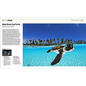 Photography: The Definitive Visual History (DK Definitive Cultural Histories)