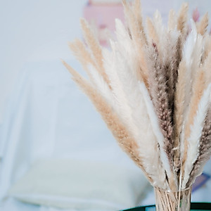 MnS Glam 75 Pc Natural Dried Pampas Grass-25 Pc Cream White Pampas/ 30 Pc Brown Pampass/ 20 Pc Beige Pompus Reed Grass 17.5" Fluffy Stems Dry Pompous Bouquets for Home Decor Wedding Flower Arrangement