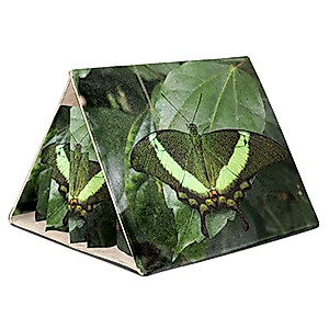 RATGDN Small Pet Hideout Green Butterfly Hamster House Guinea Pig Playhouse for Dwarf Rabbits Hedgehogs Chinchillas