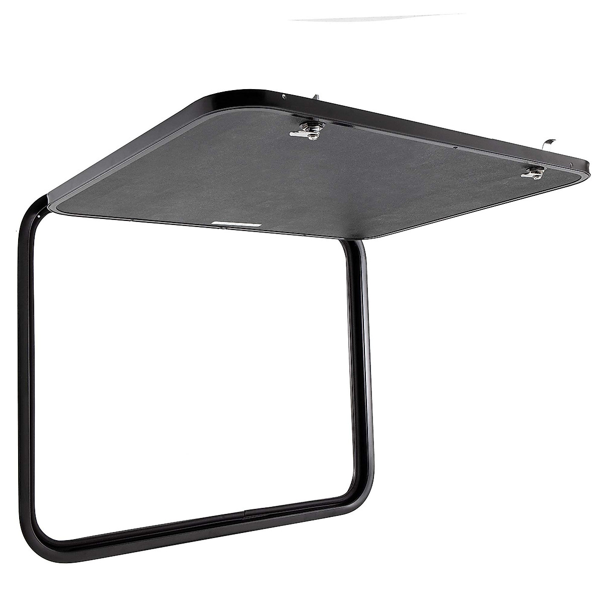 RecPro RV Baggage Door | Rounded Corners | Camper | Compartment Door | Black Fiberglass (36" W x 24" H) | Made in America