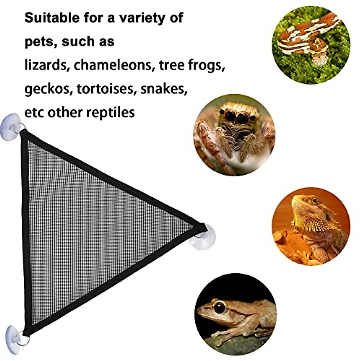 Lucky Interests 8 pcs Reptile Hammock Lounger, Lizard Hammock with Strong Suction Cup Triangle Bearded Dragon Lounger for Iguanas Geckos Lizards Anoles Snakes with 8 Reptile Food Bowl (Green, Black)