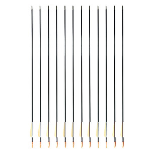 SAS Fiberglass Archery Arrow 28" with 3" Vanes + Coat Head + Plug Nock for Youth Target Practice Recurve Compound Bow Shooting Recreation Kid Range (Black 12/Pack)