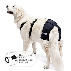 Ortocanis - Hip Support for Dogs with Hip Dysplasia or Osteoarthritis (L)