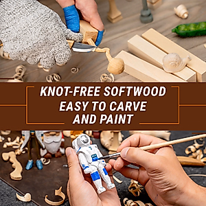 BeaverCraft BW16 pcs Basswood Carving Blocks Carving Wood Whittling Wood Bass to Carve Soft Wood Carving Kit for Beginners Block of Wood for Crafts Unfinished Wood Blocks Wooden Block Set