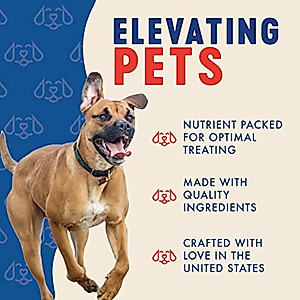 Finley's Peanut Butter & Pumpkin Dog Biscuits Treats for Dogs Made in USA | Natural Peanut Butter & Pumpkin Dog Treats | Wheat Free Dog Treats | Healthy Dog Treat Bags (12 oz)