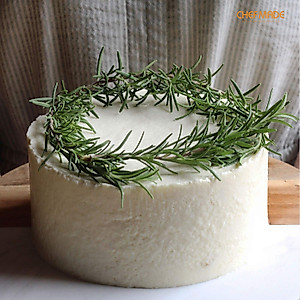 CHEFMADE Mousse Ring Mold, 6-Inch Round Non-Stick Seamless 18/8 Stainless Steel Food Molding