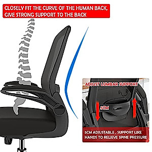 Office Chair, Ergonomic Desk Chair with Adjustable Lumbar Support, High Back Mesh Computer Chair with Flip-up Armrests-BIFMA Passed Task Chairs, Executive Chair for Home Office