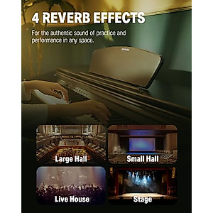 Donner DDP-300 Digital Piano with 88 Graded Hammer Action Weighted Keys, Record, Bluetooth, 10 Voices, 4 Reverb, Speakers, Professional Full Fize Key Keyboard Electric Dark Rose