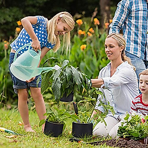 Delxo Garden Grow Bags 1 Gallon 10 Pack Plant Growing Bags Small Fabric Pots for Planting, Vegetable