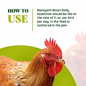Backyard Boost Daily Essentials Chicken Feed | Palleted High Protein Food for Laying Hens | 2.5 Pound Bag