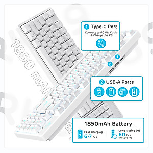 RK ROYAL KLUDGE RK89 85% Triple Mode BT5.0/2.4G/USB-C Hot Swappable Mechanical Keyboard, 89 Keys Compact Mechanical Keyboard with Detachable Frame & Software (Hot-Swappable Red Switch, White)