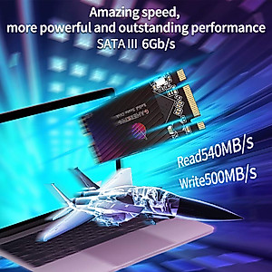 Gamerking SSD M.2 2242 64GB High Performance Internal Solid State Drive for Desktop Laptop 5 Unit Package Pack [64GB(5 Packs),M.2 2242]