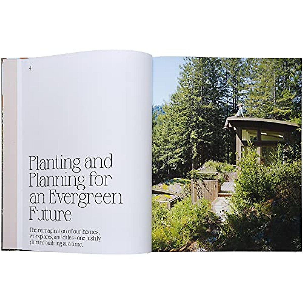 Evergreen Architecture: Overgrown Buldings and Greener Living