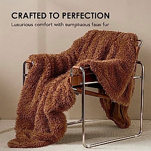 EVERGRACE Luxury Fluffy Faux Fur Throw Blanket with Long Pile, Super Soft Plush Cozy Blanket and Throws for Bed, Thick Warm Fuzzy Caramel Brown Throw Blanket for Couch, Sofa, Chair, 50x60 inch