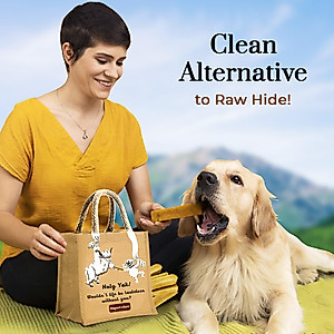 Dogsee Turmeric Flavor Himalayan Yak Cheese Dental Chews for Dogs Bulk Pack 2lb (Medium - 12 Chews) | Help Alleviate Joint Pain | Keep Dogs Busy for Long | Healthy Yak Chews