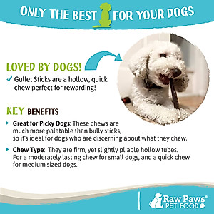 Raw Paws Beef Gullet Sticks for Dogs, 6-inch, 10-ct - Free-Range Cows Raised Without Antibiotics or Added Hormones - Gullet Sticks for Small Dogs to Large Dogs - Beef Esophagus Dog Treats