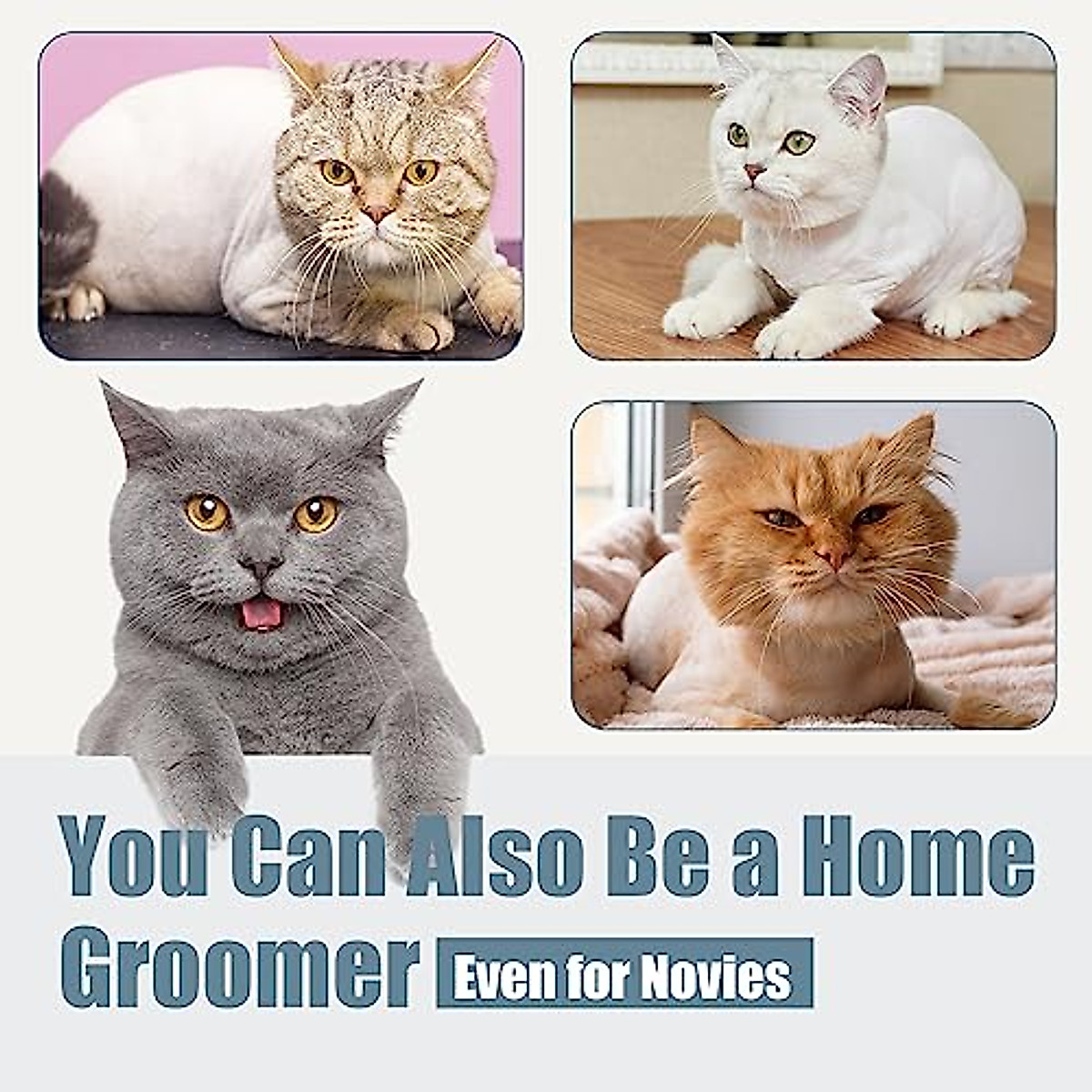 Gooad Cat Grooming Kit, Cat Clippers for Matted Hair, Cordless Cat Shaver for Long Hair, Low Noise Paw Trimmer, Cat Hair Trimmer for Grooming,Quiet Pet Hair Clippers Tools for Cats Dogs (Blue)