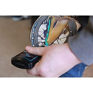 Therazure Zomp Liquid Hoof Thrush and White Line Treatment for Horses: Effective for Thrush Relief and Prevention on All Hooved Animals