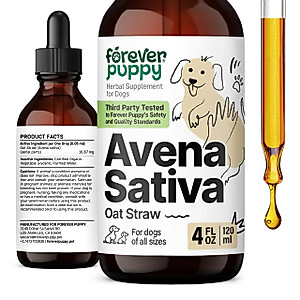 Avena Sativa Drops for Dogs - Calming Support for Dogs w/Oat Straw Herb - Herbal Alternative to Calming Chews for Dogs - Liquid Dog Vitamins for Brain Relaxation, Calm Mood & Composure - 4 oz