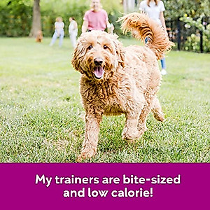 Buddy Trainers Dog & Puppy Training Treats for Small or Large Dogs, Baked in USA, Natural Chicken Liver 7 oz.