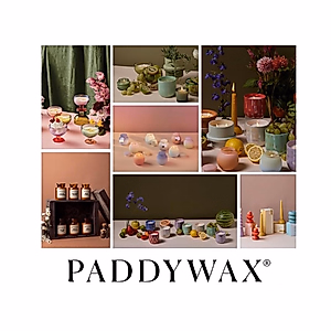 Paddywax Holiday Candles Small 2-Wick Scented Soy Wax Candle in Tin, 5-Ounce, Sweet Orange + Fir