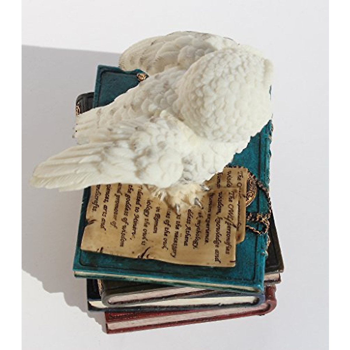 US 4.75 Inch Snow Owl Flap Wings on Books Trinket Box, White Color