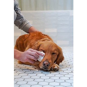 Four Paws Healthy Promise Pet Eye Wipes 35 Count