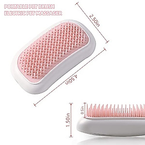 Fuigarry 2 Packs Electric Massage Cat Brushes, Hand-Held Portable Vibration Pet Brushes, Remove Loose Hair of Cats and Dogs and Sort out Tangles, Suitable for Pet Massage and Cat & Dog Play Toys. (Pink)