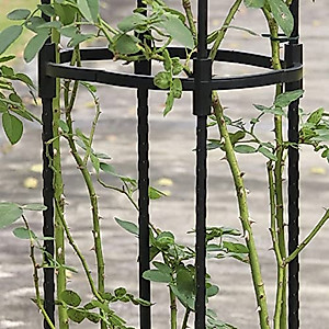 Trellis for Climbing Plants - Rustproof Plant Trellis Climbing Plant Support - Tomato Plant Trellis for Climbing Support Rose, Vegetable, Vines, Ivy, Jasmine Buogint