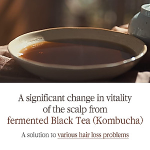 PYUNKANG YUL Herbal Hair Loos Control Shampoo - Fermented Black Tea containing rich Ingredients polypheonol, catechin - Hair Loss Treatments herbal Ingredients condensed Peptide, Biotin - 16.9 Fl. Oz