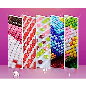 JOINAP Diamond Painting Kits for Adults Full Drill 5D Diamond Art Kit for Home Wall Decor, 12x16 inch (4 Pack)