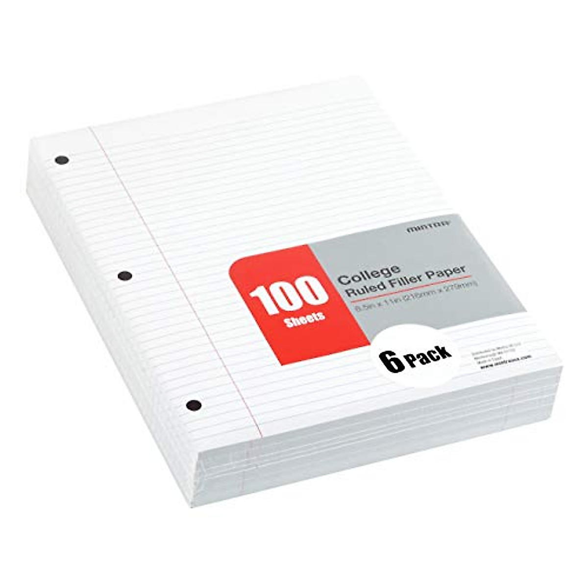 Mintra Office Filler Paper (College Ruled, 600 Sheets (6pks of 100))