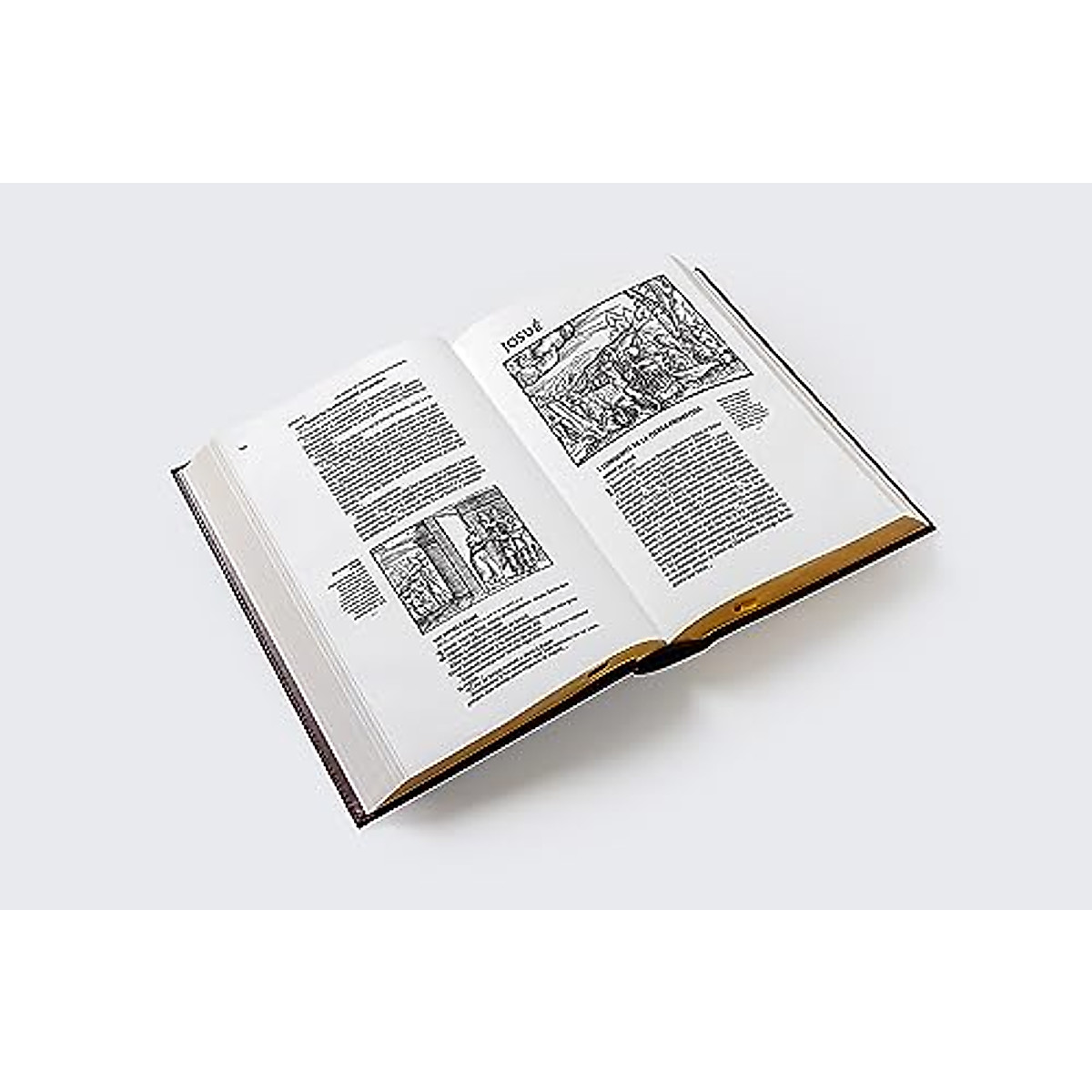 Biblia Católica, Ilustrada, Piel genuina, Café, Comfort Print (Spanish Edition)