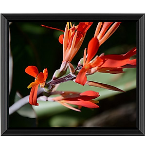 Uzifa 11x14 Picture Frame Photo Poster Frame Picture Frames 11x14- Safety high transparent PC sheet NON GLASS without Mat for Display Certificate as Wall Mount Frame V21114G – BLACK