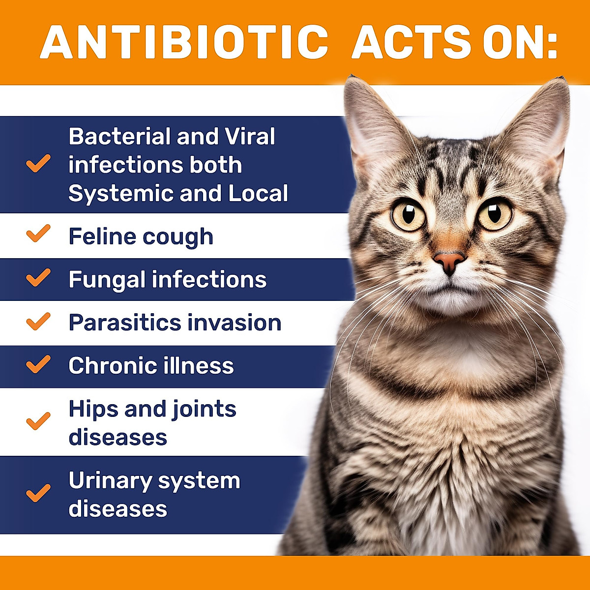 Antibiotics for Cats ◆ Cat Antibiotic ◆ Natural Antibiotics for Cats ◆ Cat Antibiotics ◆ Antibiotic for Cats ◆ Cat Multivitamin ◆ Pet Antibiotic ◆ 2 Oz