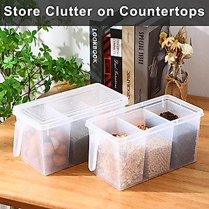 Quzzil 4 Pcs Fridge Organizer Refrigerator Organizer Bins with Lids and Handle Clear Fruit Storage Containers for Fridge Vegetable, Egg, Meat (Divided Style)