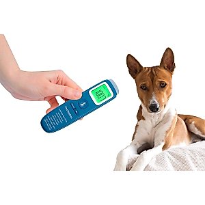 PetMedics Non-Contact Digital Pet Thermometer for Dogs - Infrared Fast and Accurate Canine Temperature Detection - Easy to Read LCD Display