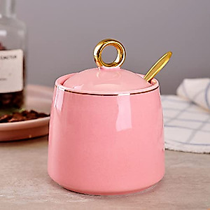 WHJY Ceramic Sugar Bowl with Lid and Spoon, Simple White Clear Porcelain Salt Bowl Salt Container, Modern Spice Box Seasoning Jar for Home and Kitchen Coffee Bar - Pink