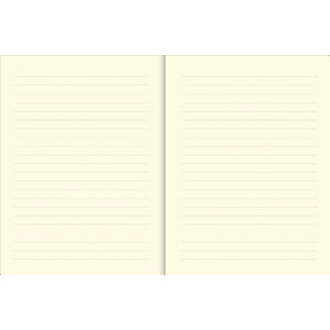 The Universe Journal (Diary, Notebook)