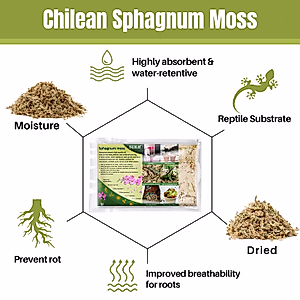 Sukh 5oz Sphagnum Moss for Plants - Sphagnum Peat Moss Natural Long Fibered Dried Moss Potting for Orchids Succulent Carnivorous Potted Plant Reptiles Medium Sarracenia DIY Moss Terrarium Decorations
