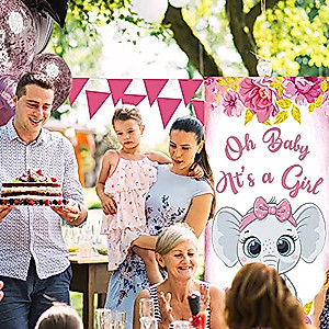 Dill-Dall Girl Baby Shower Door Banner, Oh Baby It's A Girl Sign, Girl Baby Shower / Gender Reveal / Welcome Baby Photography Background