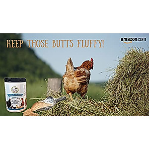 FRESH EGGS DAILY Poultry Probiotics Feed Supplement Vitamins for Backyard Chickens and Ducks 1LB