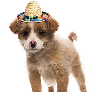 LoveBB 12 Pack Mini Sombrero Hats 5.9 Inch Small Straw Sombreros Cinco de Mayo hats for Kid Pet Doll Themed Party Decoration (Brown)