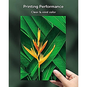 Compatible LC103XL Ink Cartridge Replacement for Brother LC103 LC103XL LC101 LC101XL, Compatible for Brother MFC J870DW J450DW J470DW J650DW J4410DW J4510DW J4710DW J6720DW Printer (24 Packs)