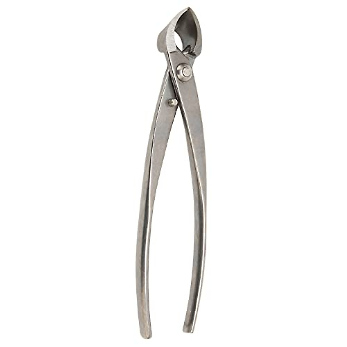 RvSky Garden Supplies 210mm Bonsai Cutter Stainless Steel Profession Pruning Scissors with Ergonomic Handle Profession Gardening Shears Tool