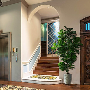 OXLLXO 6ft Artificial Fiddle Leaf Fig Tree (72in) with Plastic Nursery Pot Faux Tree, Ficus Lyrata Fake Plant for Office House Farmhouse Living Room Home Decor (Indoor/Outdoor)