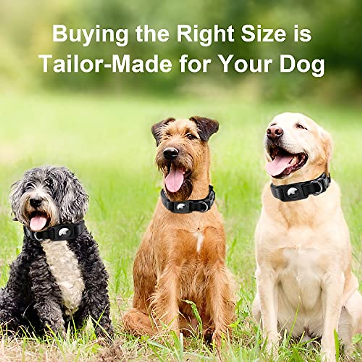 Waterproof Airtag Dog Collar, SANKALA Padded Apple Air Tag Dog Collar, Heavy Duty Dog Collar with AirTag Holder [Full Body Covered], Adjustable Air Tag Pet Collar for Small Medium Large Dogs, L